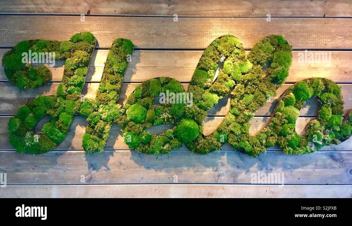 Hello sign made of grass and greenery. Bar + Block Steakhouse, Bath, UK ...