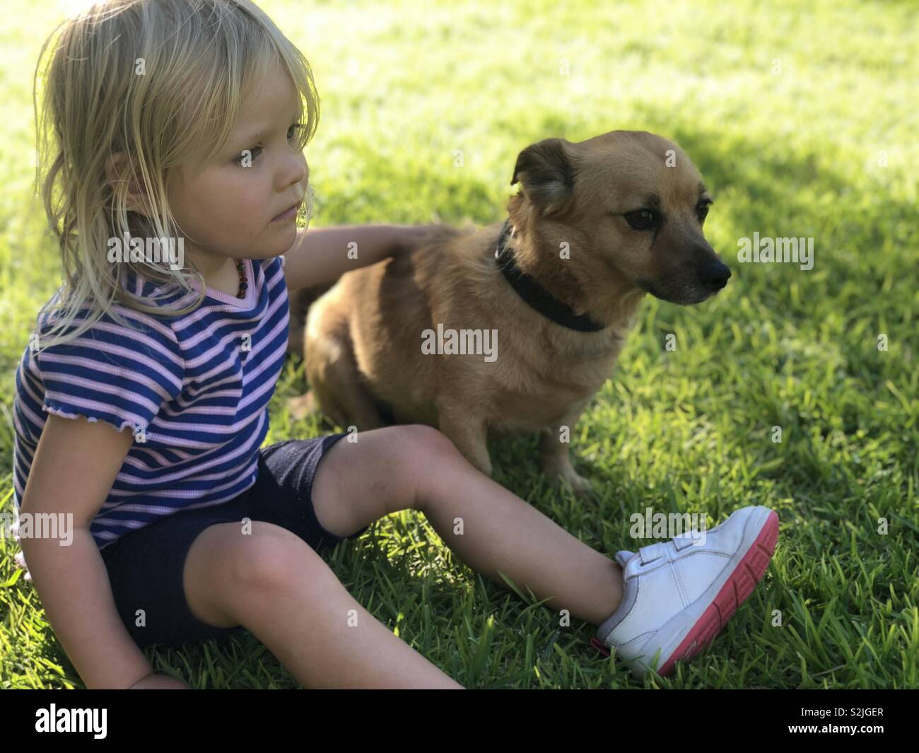 Child and her dog hi-res stock photography and images - Alamy