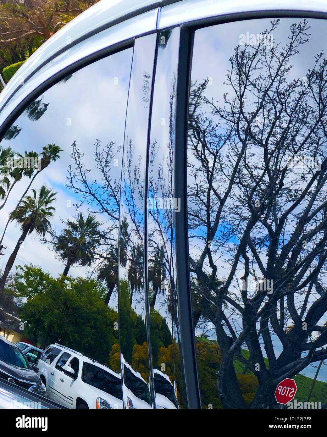 Los Angeles palm trees reflected in a car window Stock Photo - Alamy