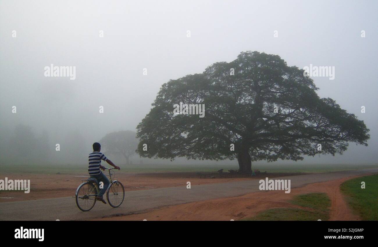 Asia cyclist hi-res stock photography and images - Alamy