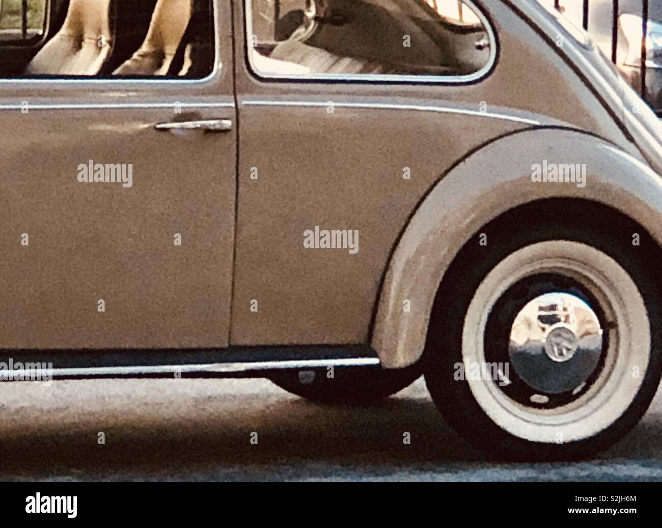 Vw bugs hi-res stock photography and images - Alamy