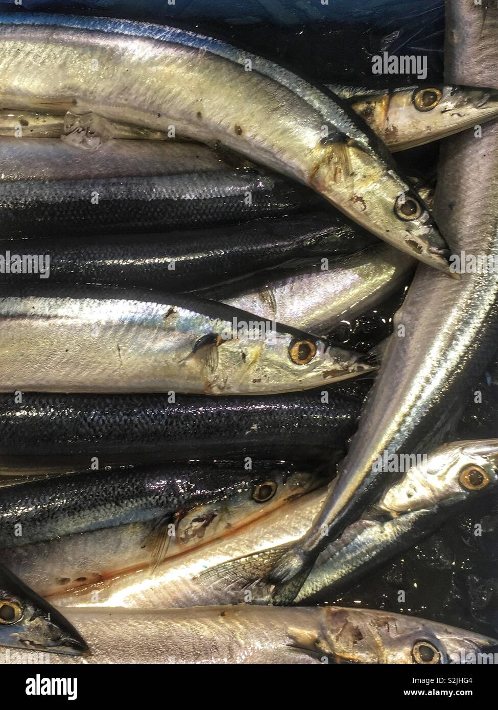 Fresh fish on display Stock Photo - Alamy