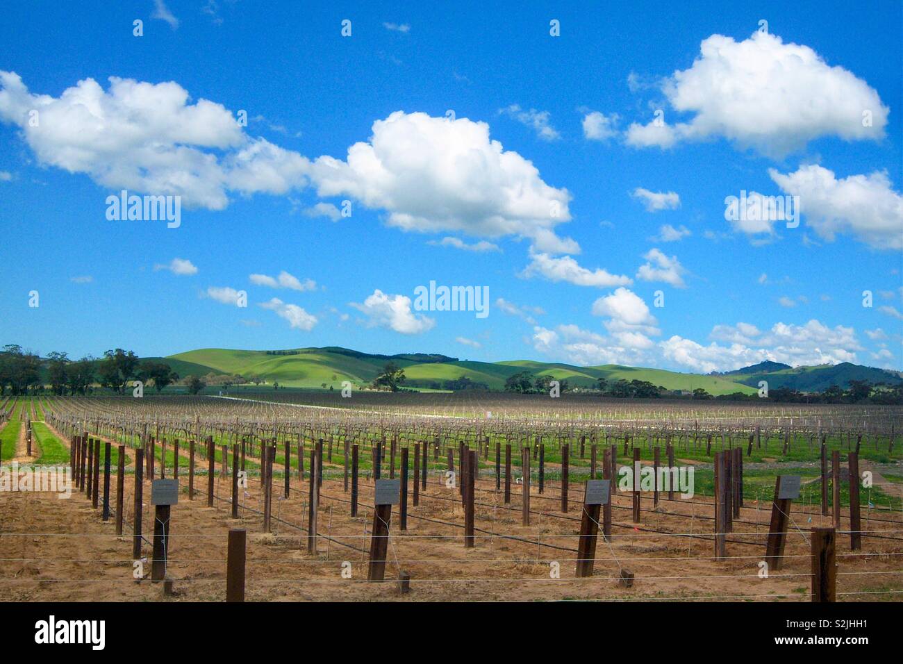 Barossa valley australia hi-res stock photography and images - Alamy