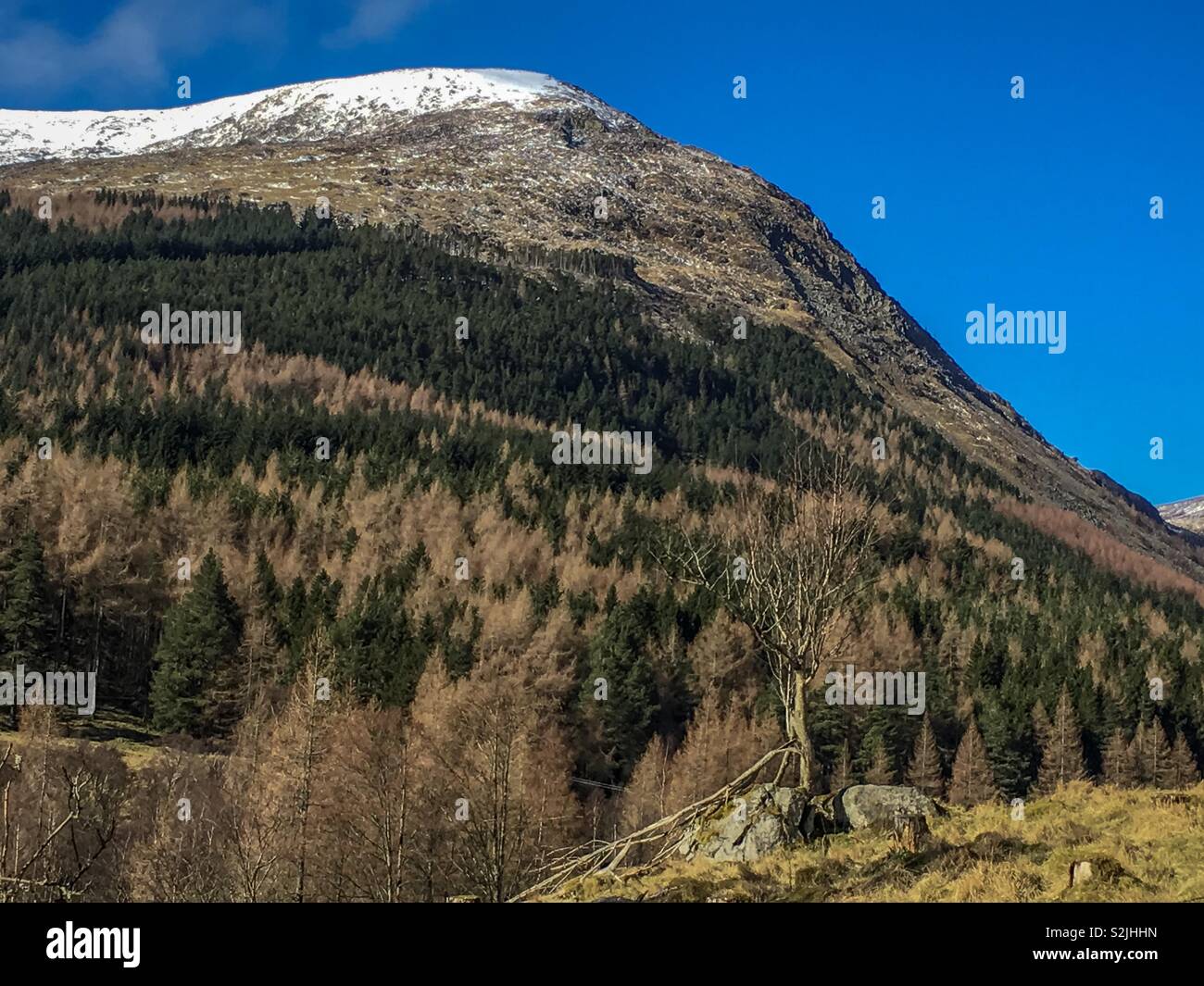 Snow capped mountains in spring Stock Photo - Alamy