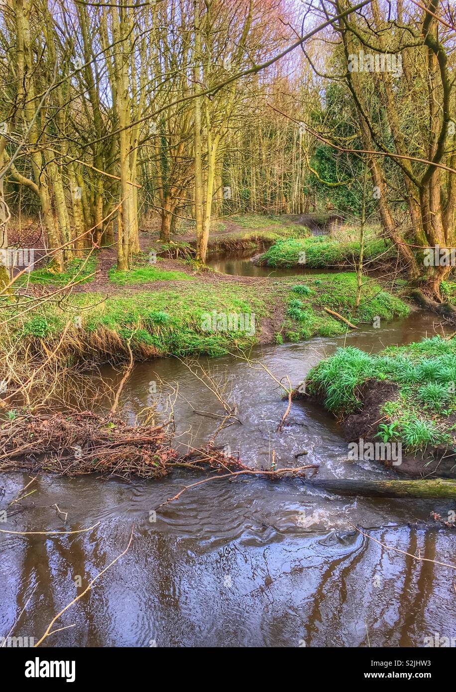 Swollen Winding River Stock Photo - Alamy