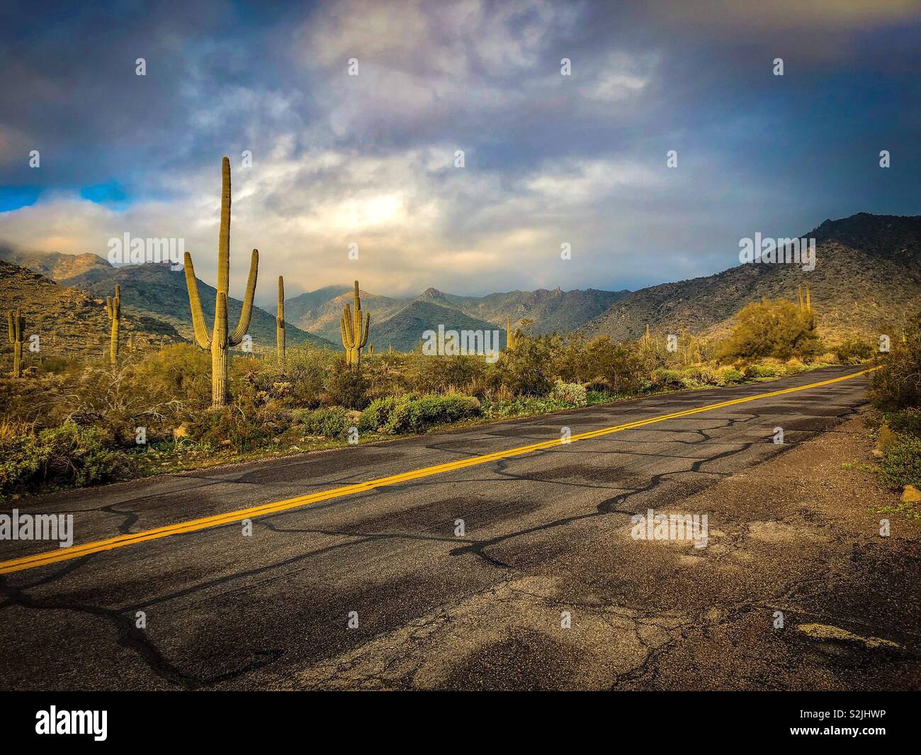 Old desert road in the southwest. Cactus, big sky and open roads Stock ...