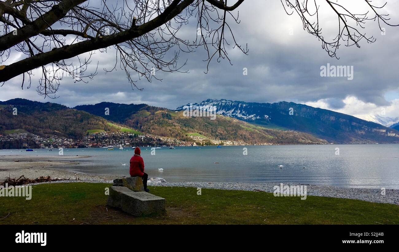 Person sitting on Benghazi Bonstetten Park on lake Thun, spring ...