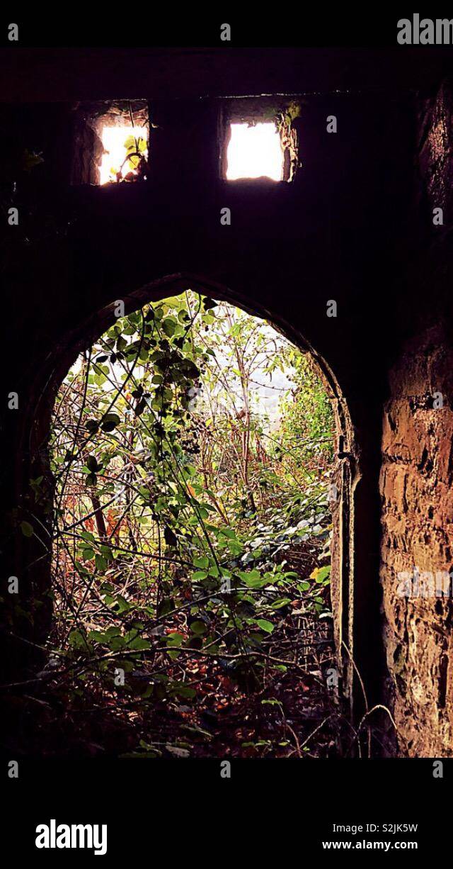 Nature’s taking over Stock Photo - Alamy