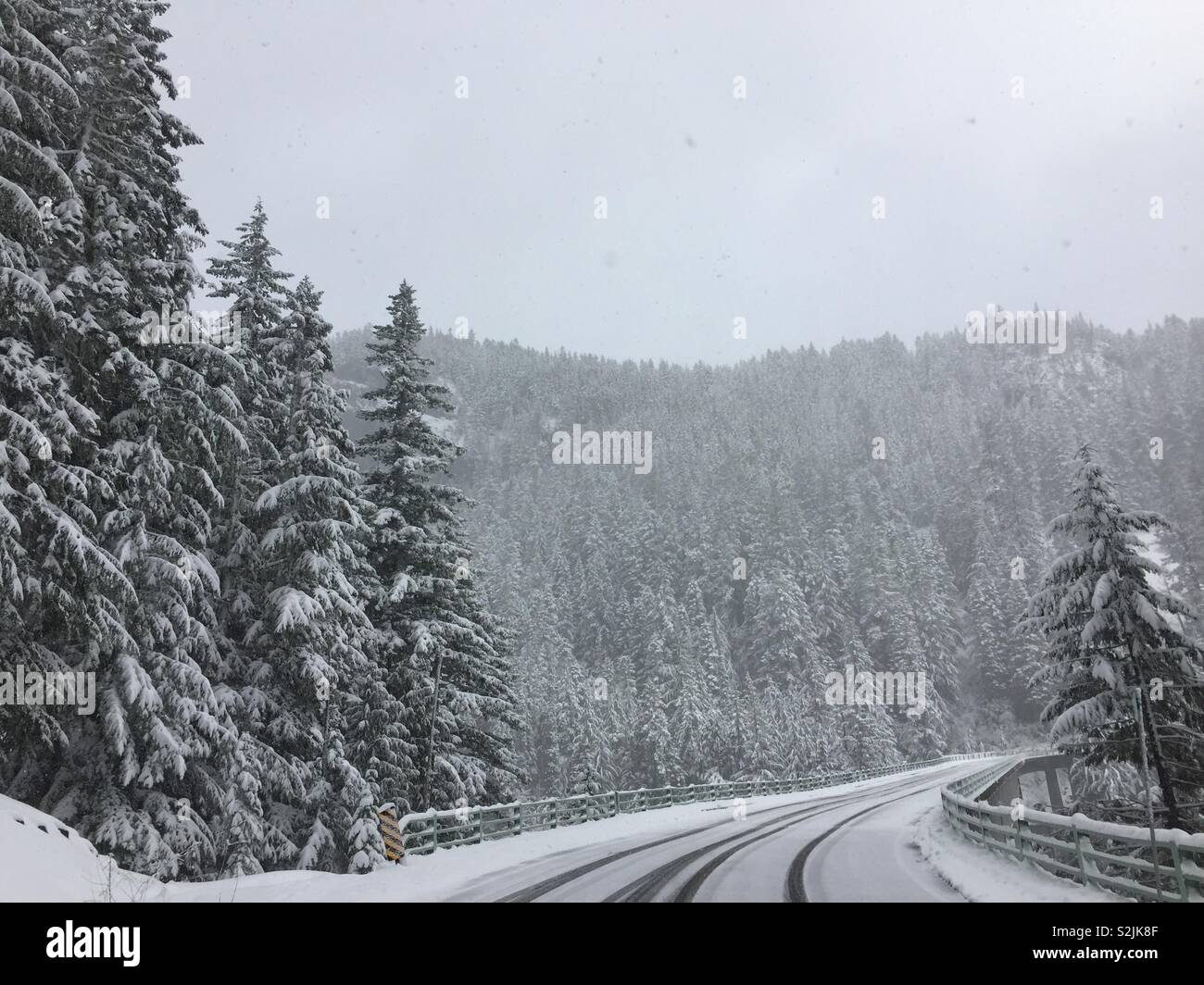 Scenic drive through winter forest, mount rainier National Park ...
