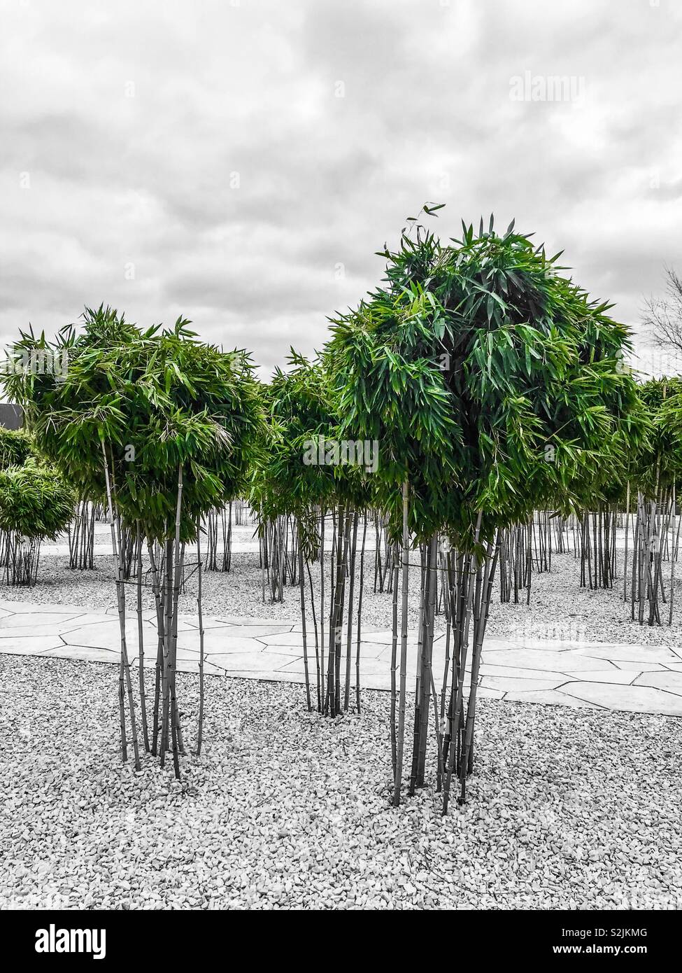 Bamboo and nature hi-res stock photography and images - Alamy