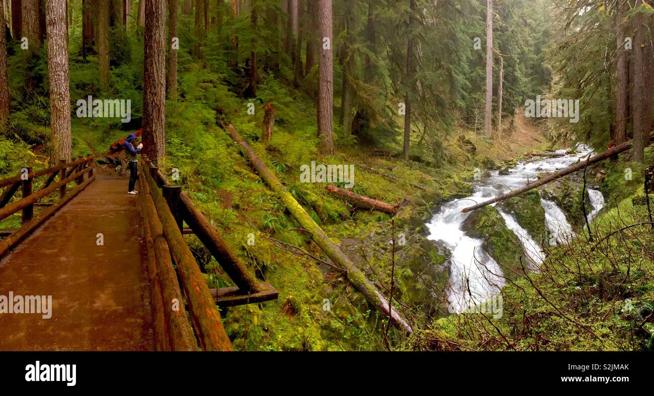 Man on bridge taking picture of sol duc falls, Olympic National Park ...