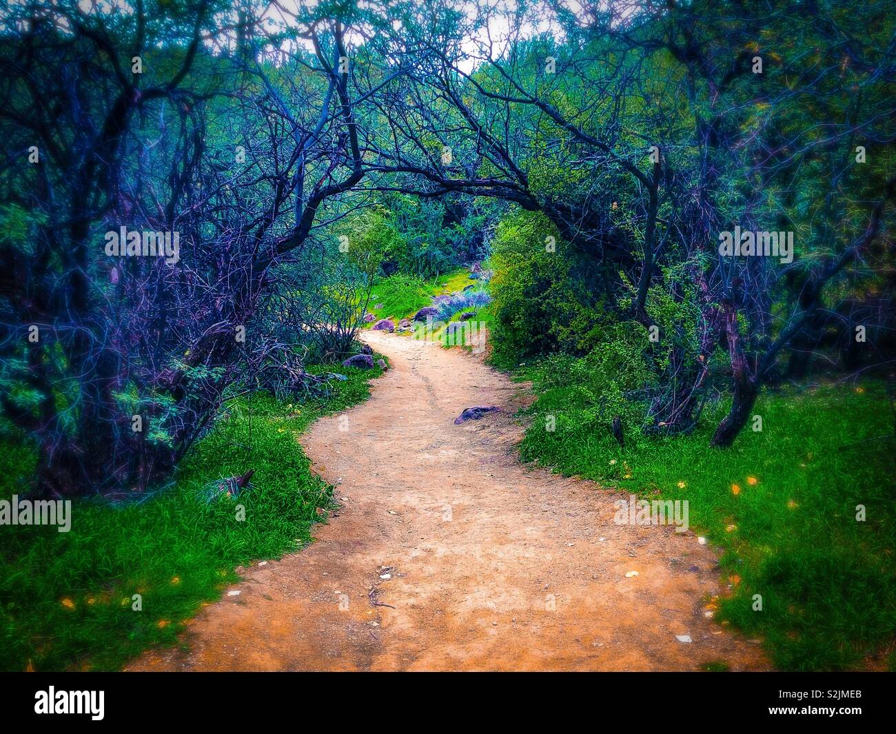 Wicked pathway. Stay on the path Stock Photo - Alamy