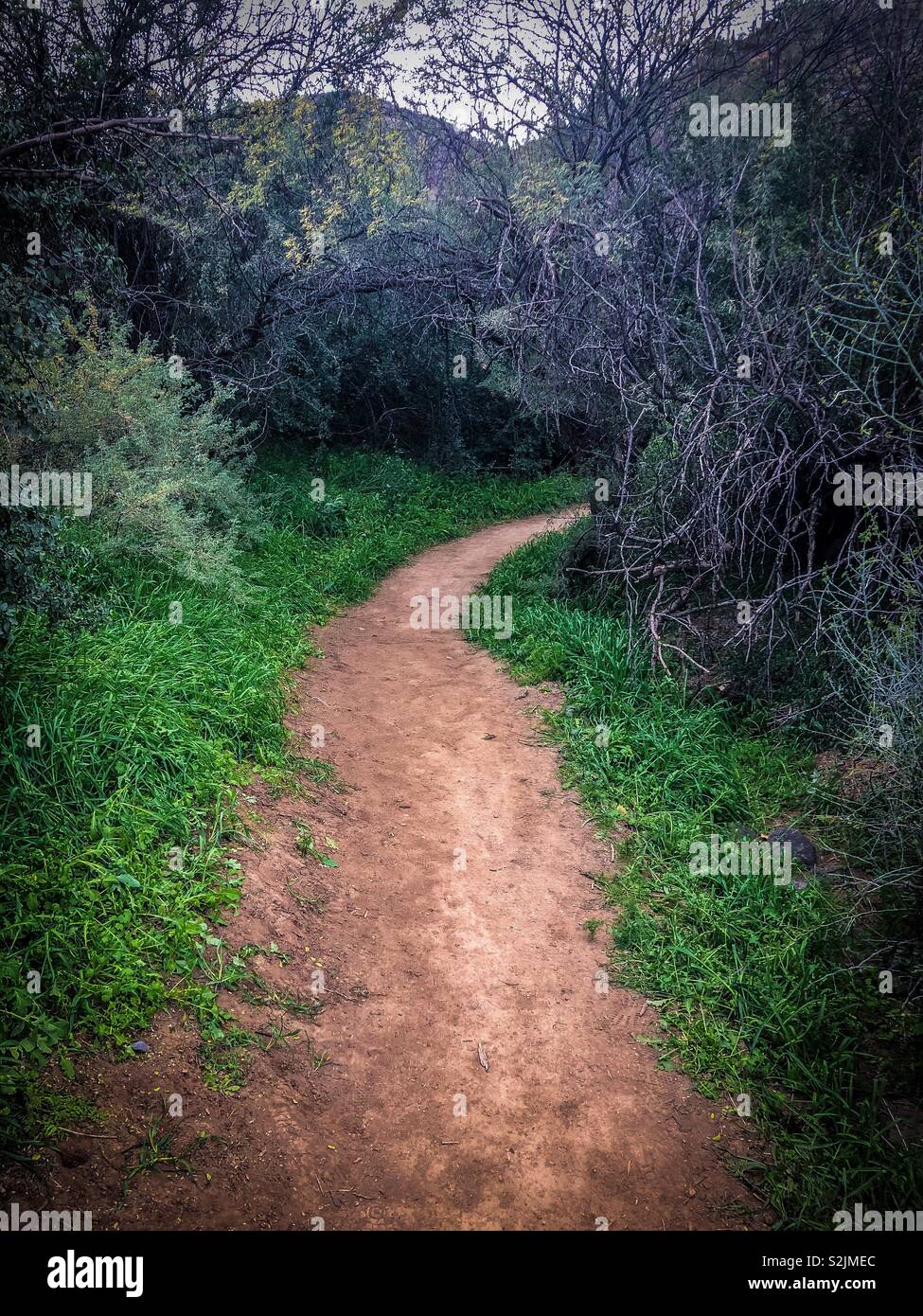 Stay on the path Stock Photo - Alamy