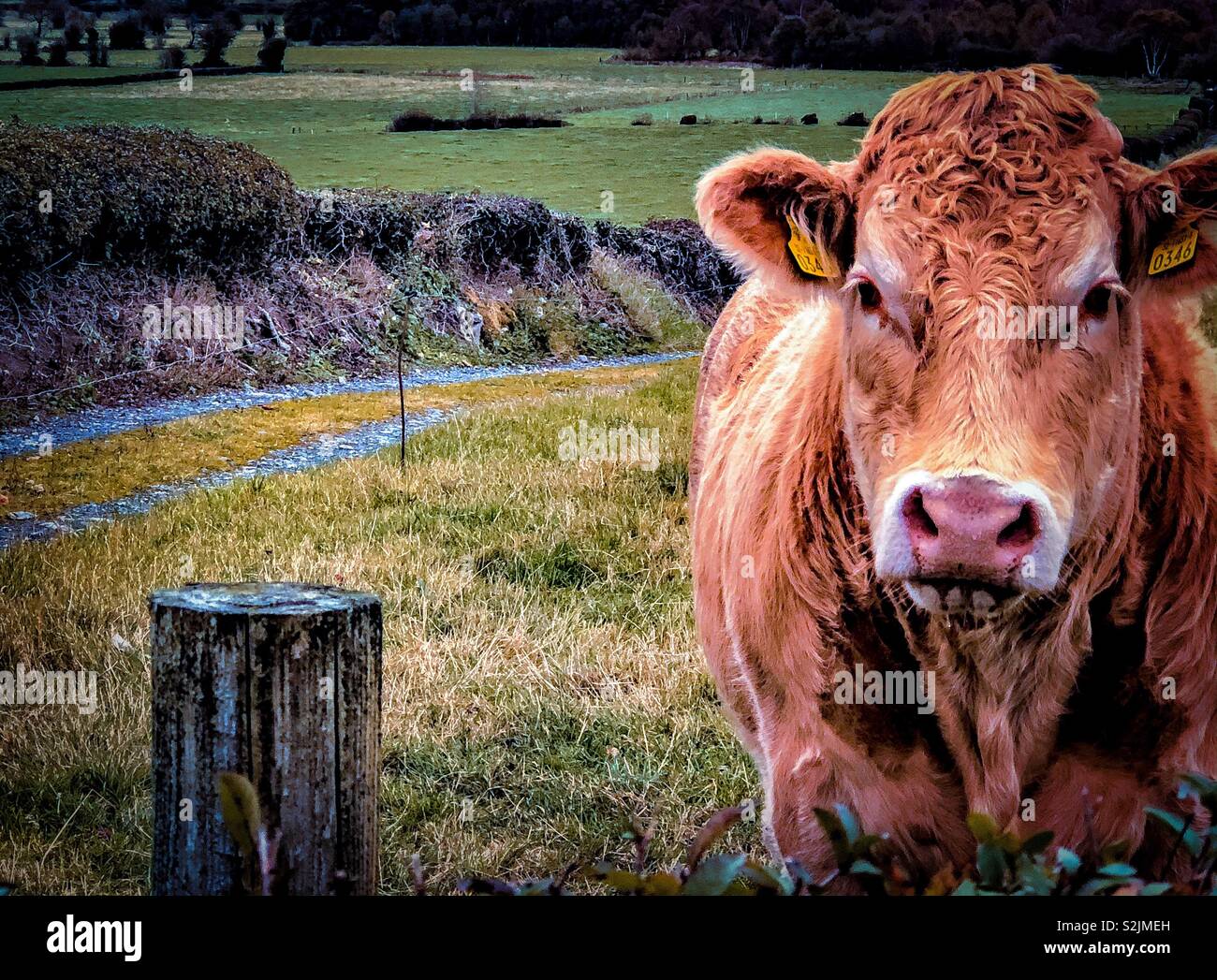 Brown roadway hi-res stock photography and images - Alamy