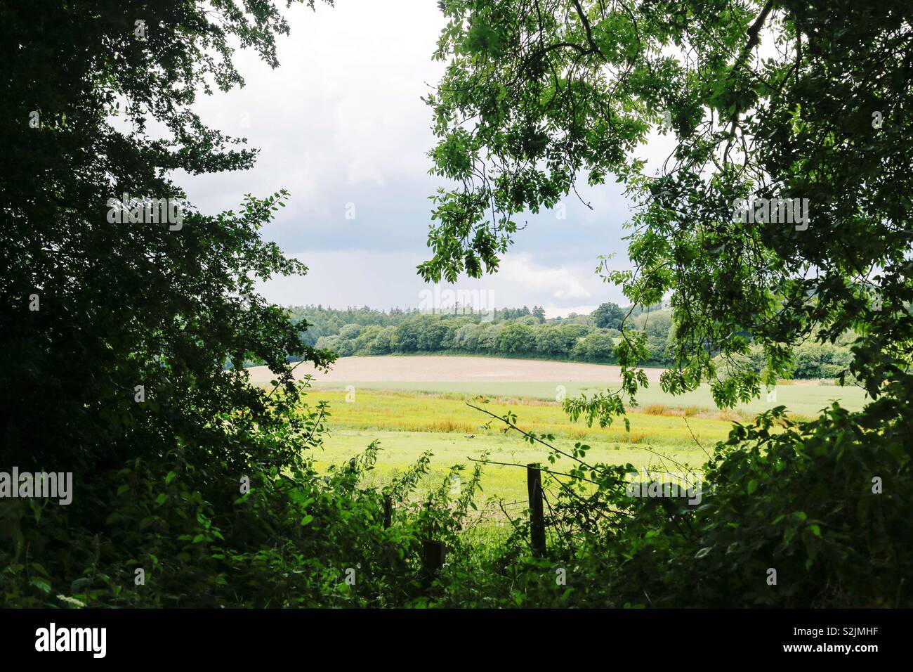 British summer farm fields hi-res stock photography and images - Alamy