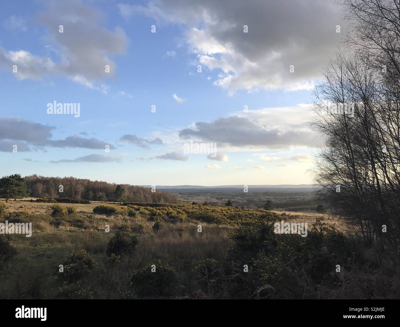 Ashdown forest view hi-res stock photography and images - Alamy