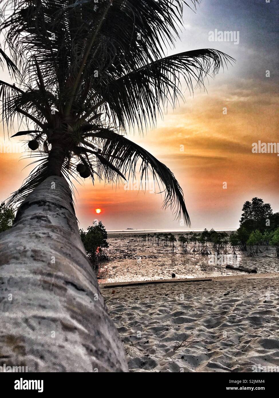 Gazing At Tree High Resolution Stock Photography and Images - Alamy