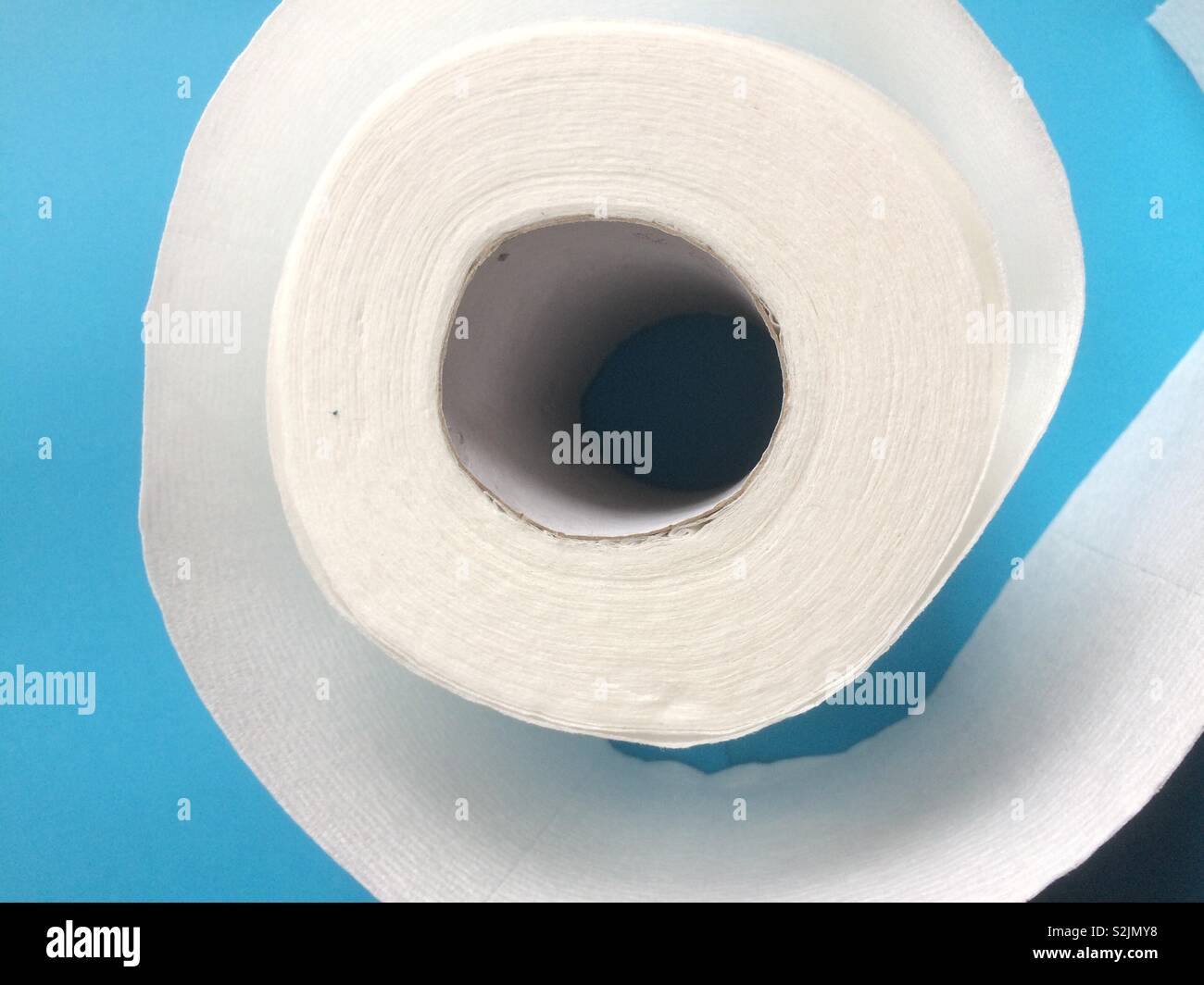 Toilet roll paper close up Stock Photo - Alamy