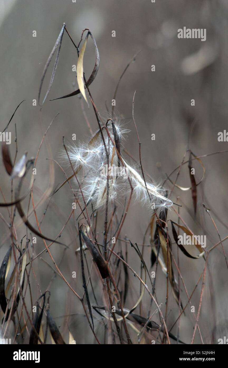 Blowing in the windows hi-res stock photography and images - Alamy