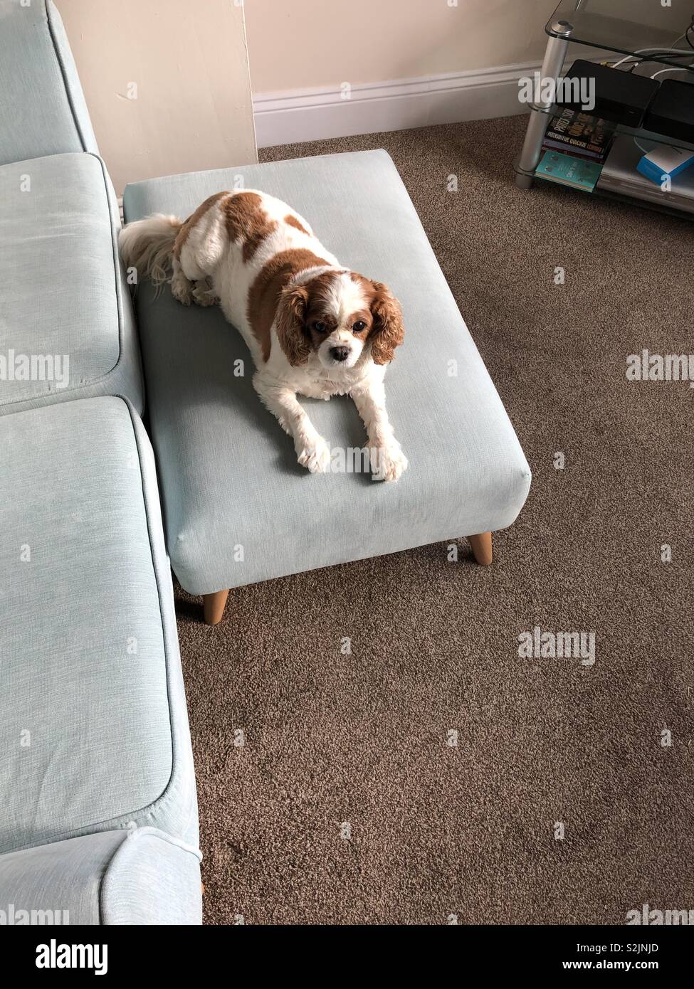 Footstool hi-res stock photography and images - Alamy