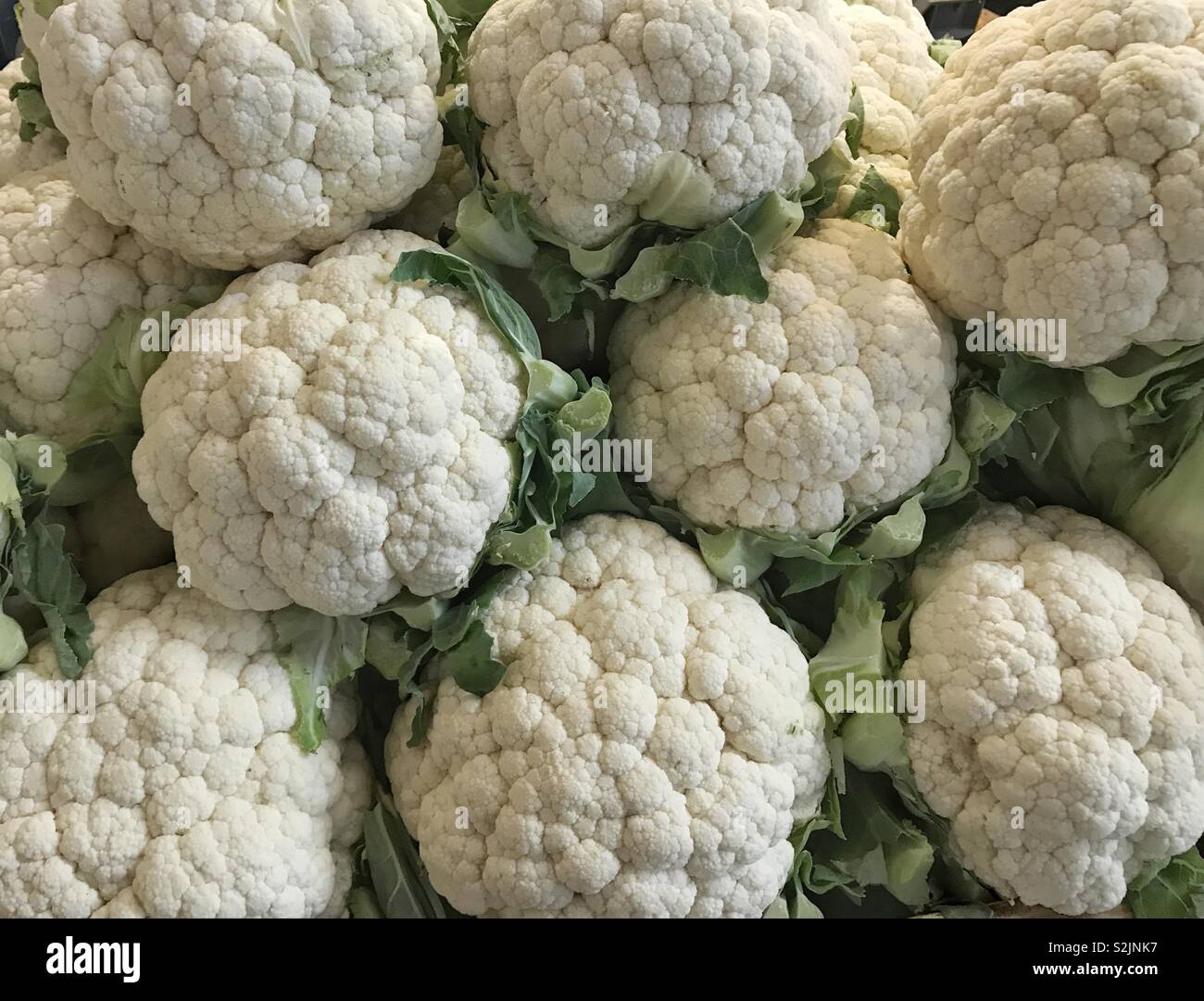 Fresh cauliflowers on display in a farmer’s market Stock Photo - Alamy