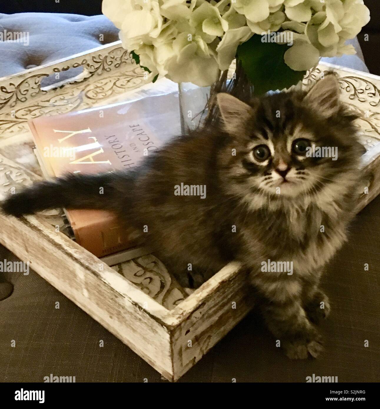 Pretty setting hi-res stock photography and images - Alamy