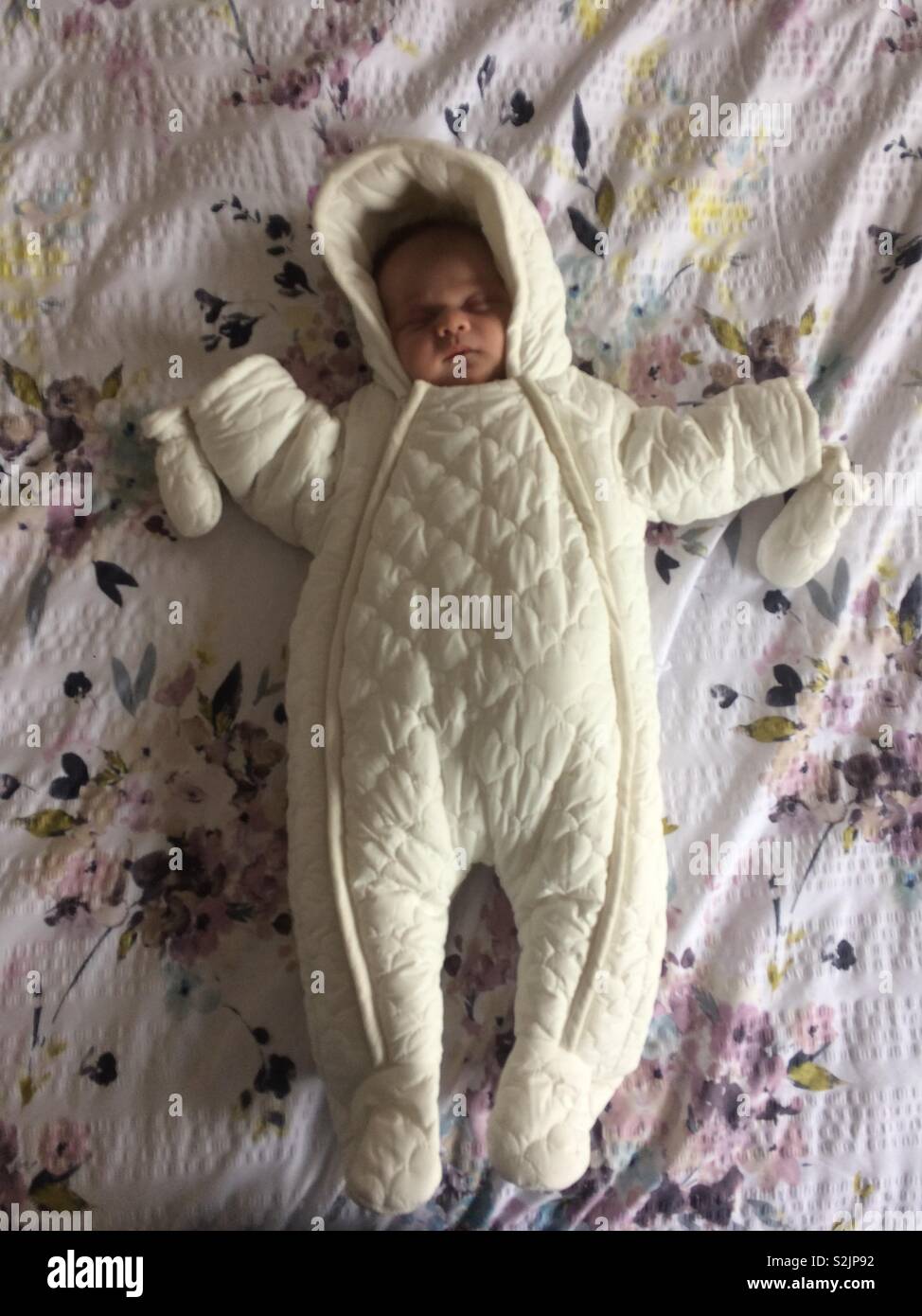 Snug As A Bug High Resolution Stock Photography and Images - Alamy