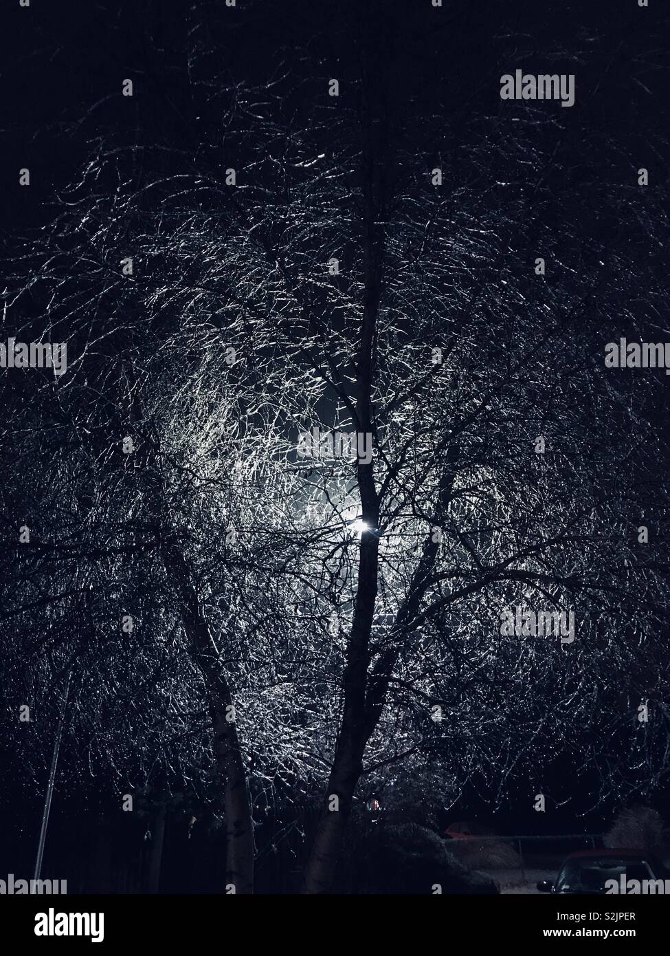 Tangled web hi-res stock photography and images - Alamy