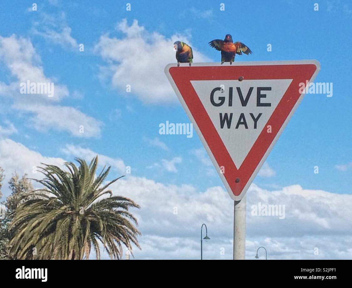 Birds on a sign Stock Photo - Alamy