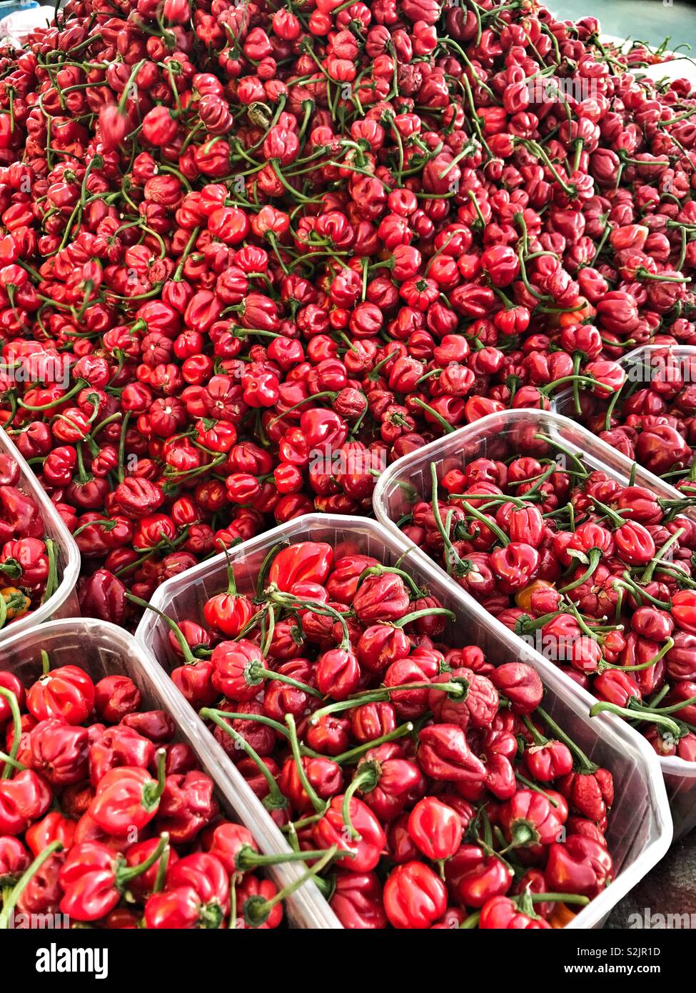 Selling red chillies hi-res stock photography and images - Alamy