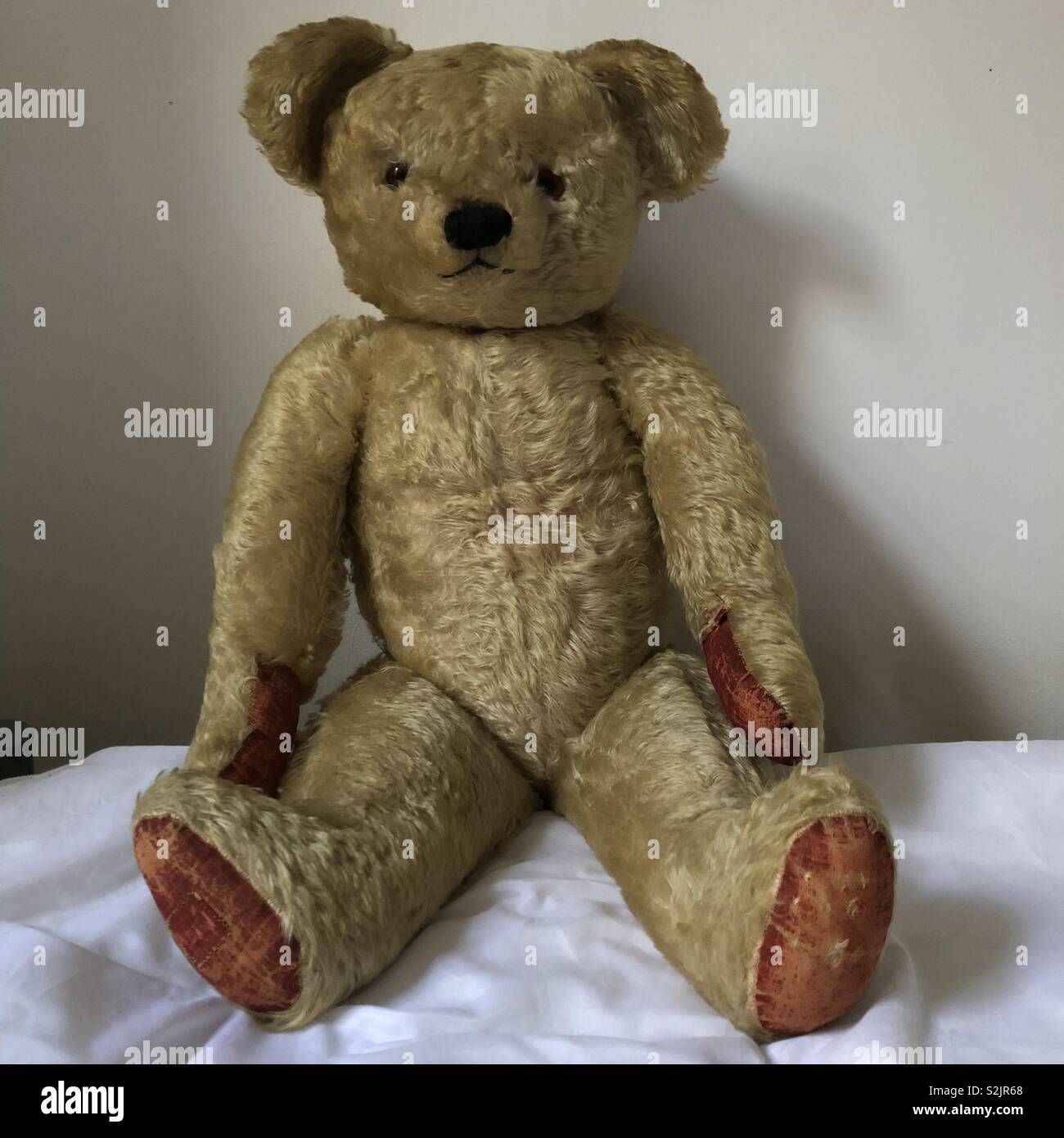 Old Teddy Bear Stock Photo - Alamy