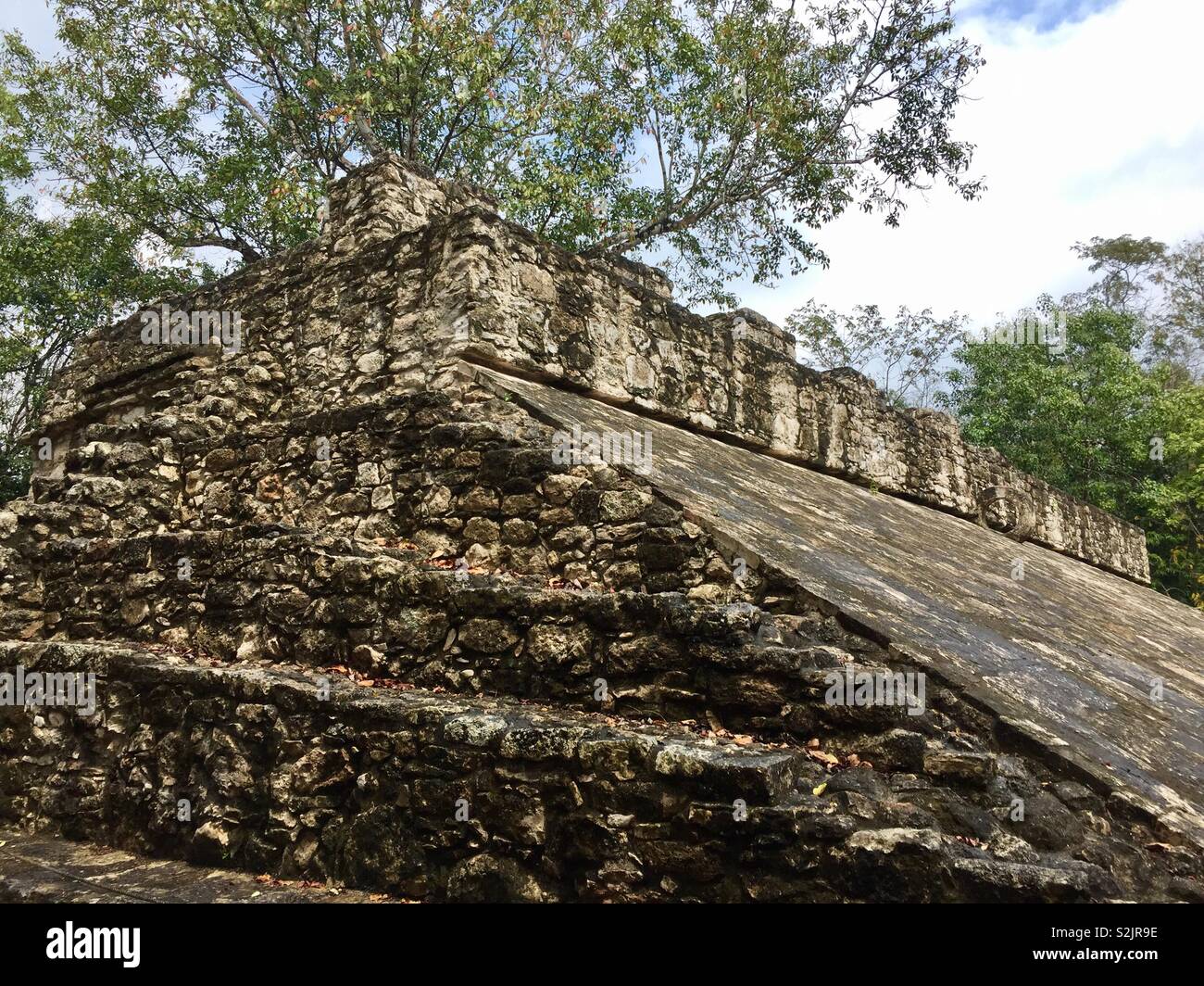 Archeologists mexico hi-res stock photography and images - Alamy