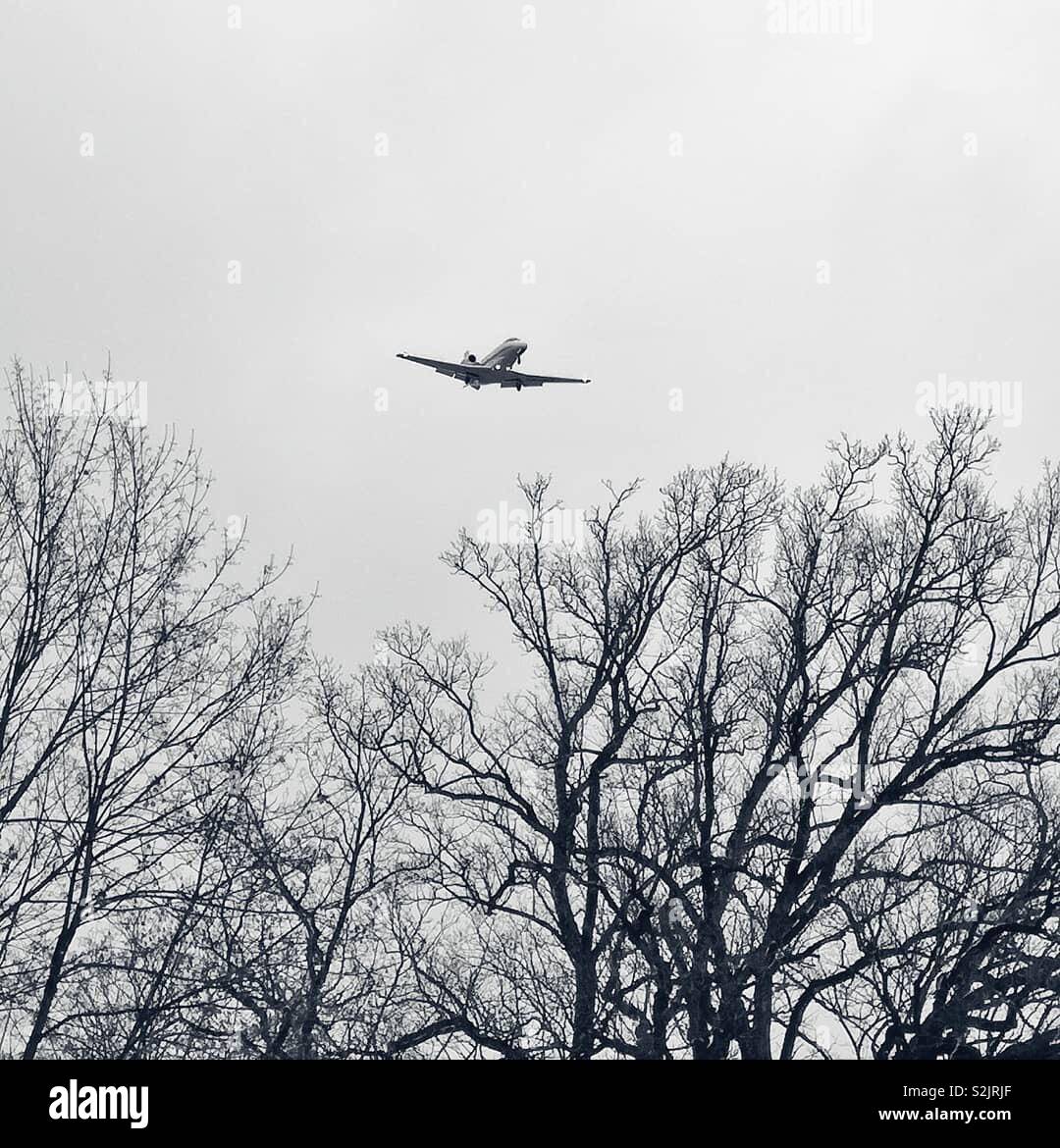 Small private jet flying over trees Stock Photo - Alamy