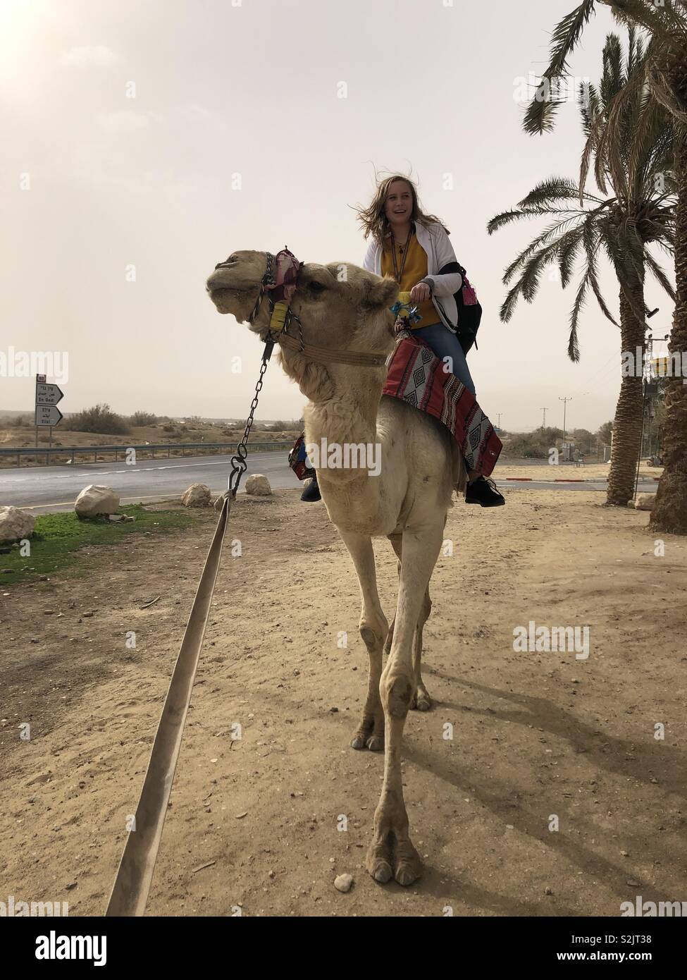 camel ride in Israel Stock Photo - Alamy