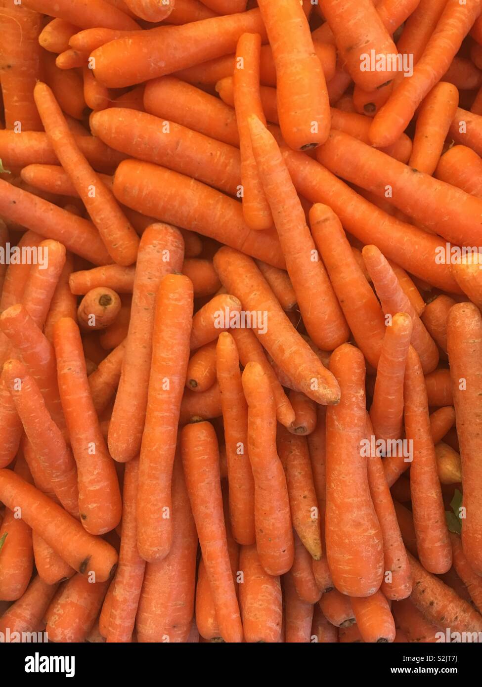 Carrots for sale in local green grocers Stock Photo - Alamy
