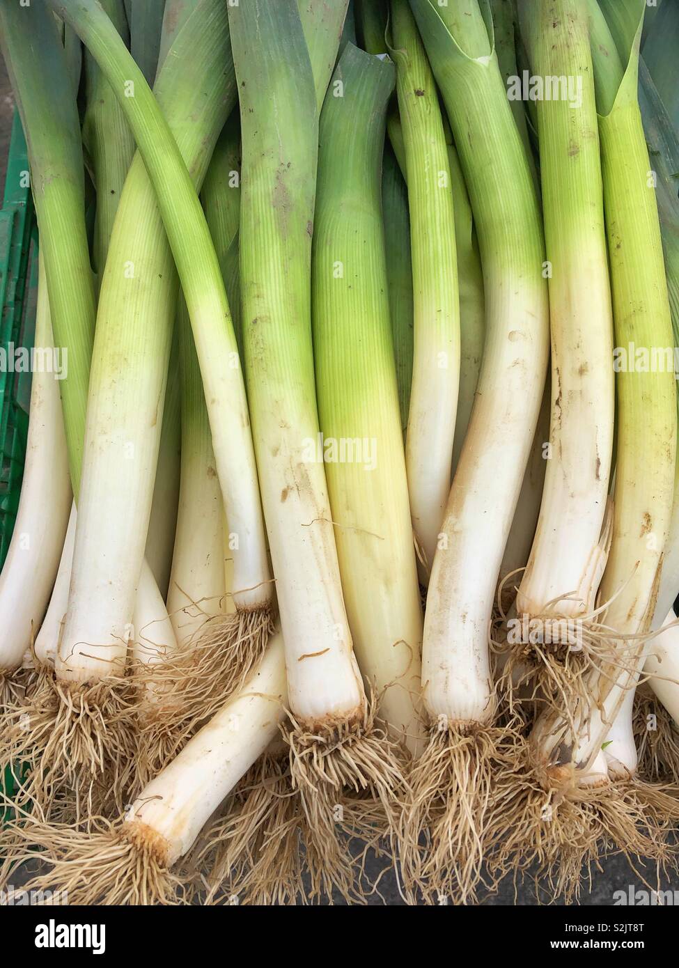 French welsh hi-res stock photography and images - Alamy