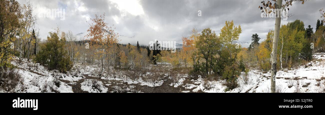 Alpine scenic byway hi-res stock photography and images - Alamy