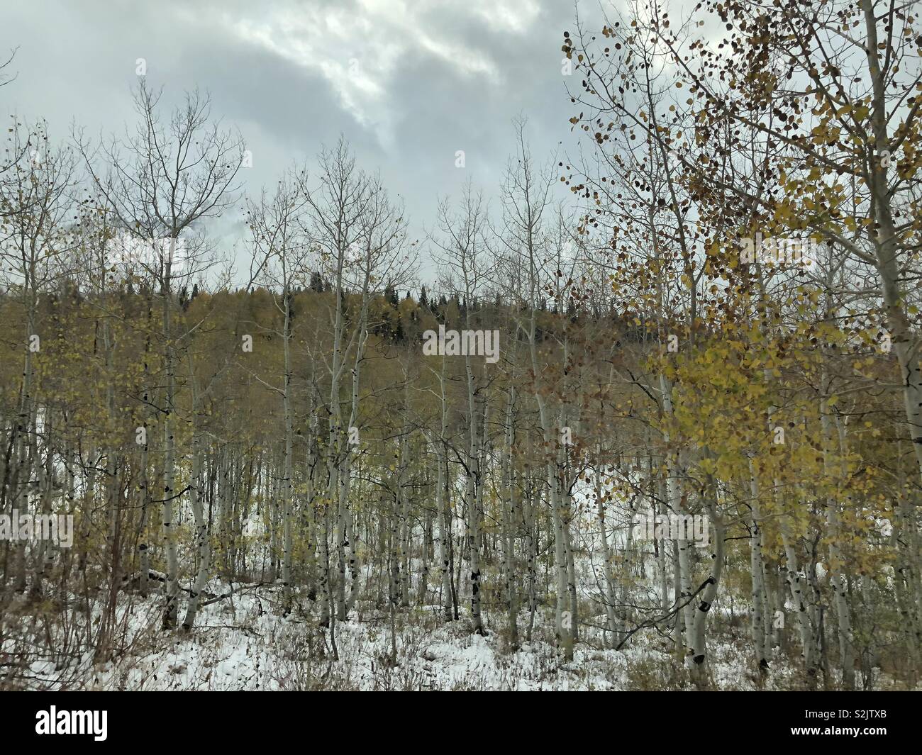 Alpine loop hi-res stock photography and images - Alamy