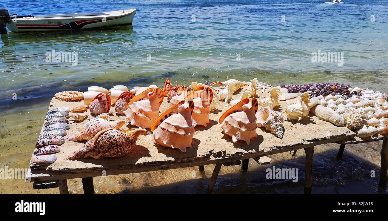 Selling seashells hi-res stock photography and images - Alamy
