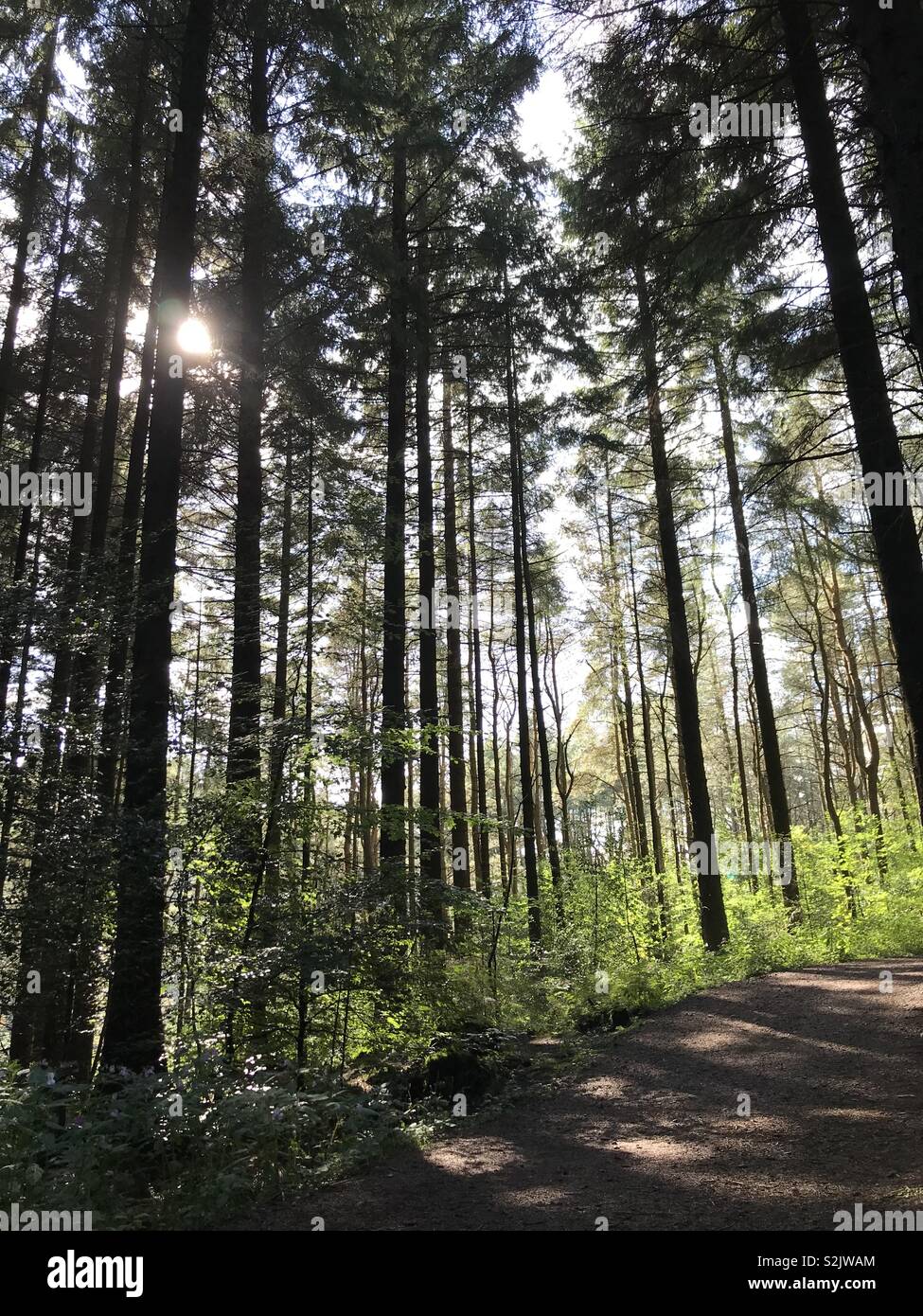 Look High (2018 Stock Photo - Alamy