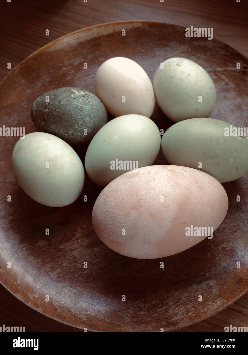 Selection eggs hi-res stock photography and images - Alamy