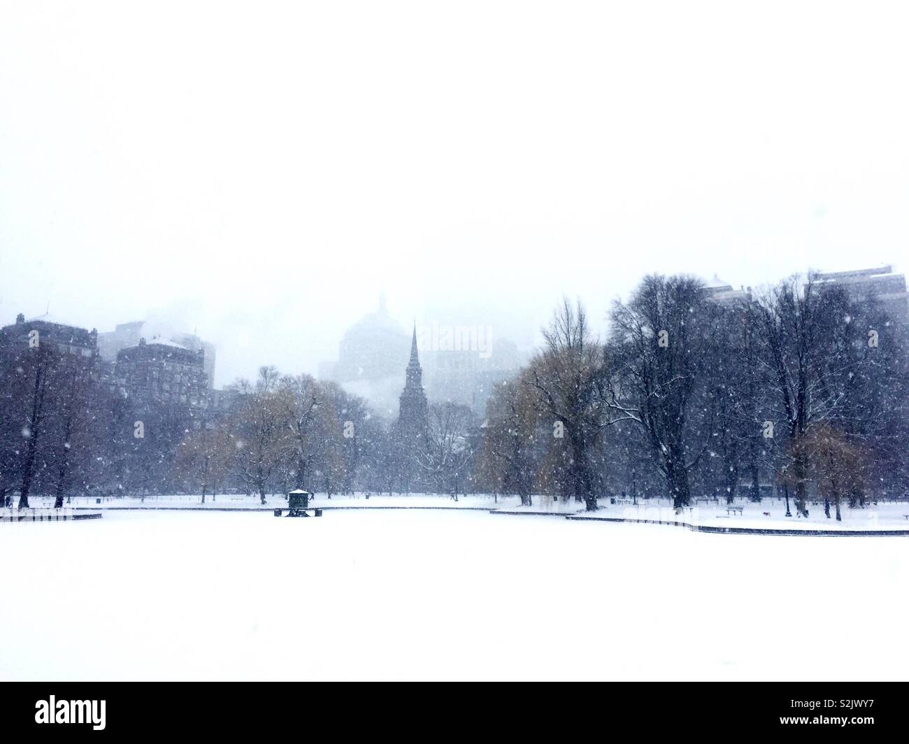 Snow falling in Public Garden in Boston Stock Photo - Alamy