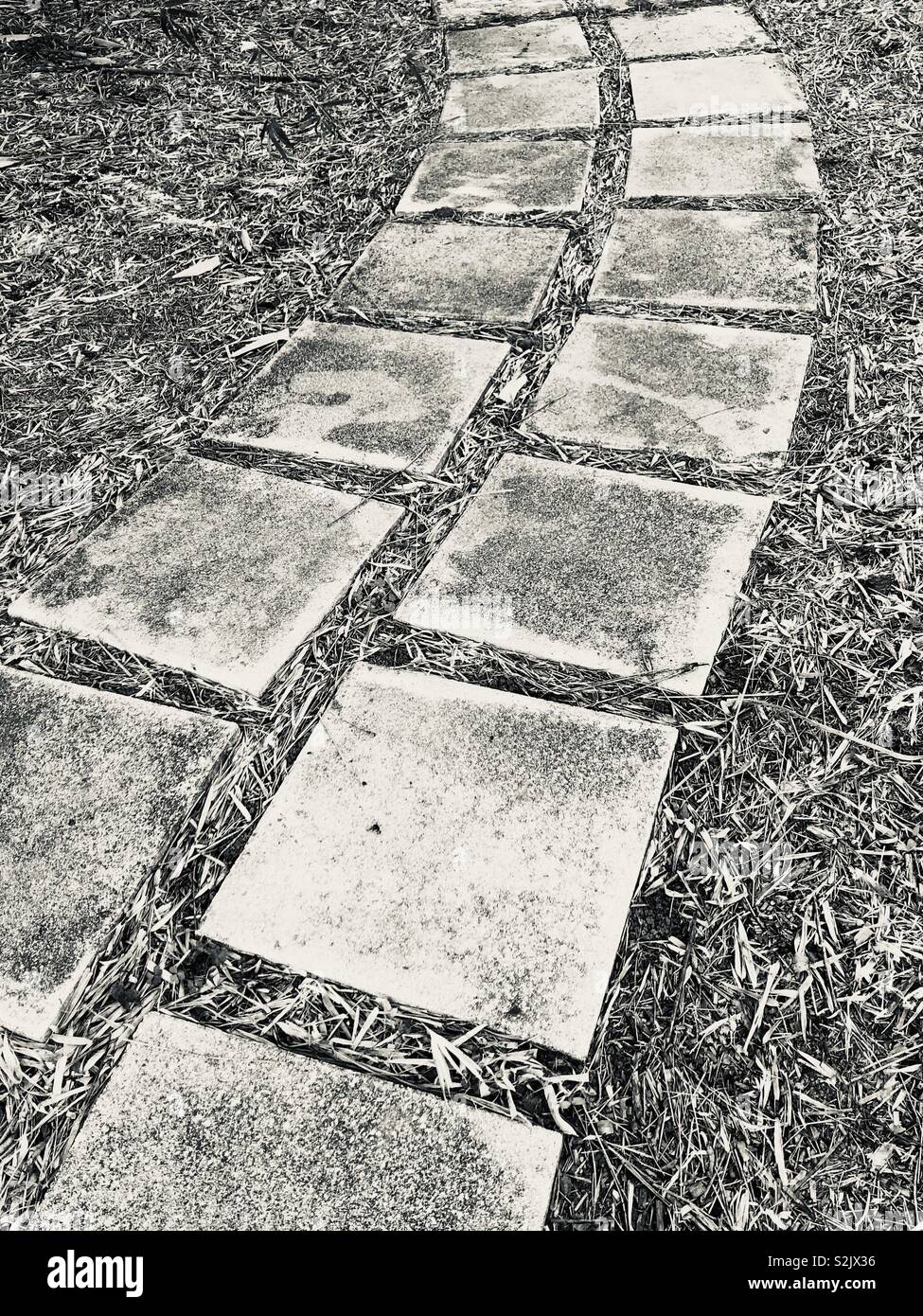 Coastal georgia botanical gardens hi-res stock photography and images ...