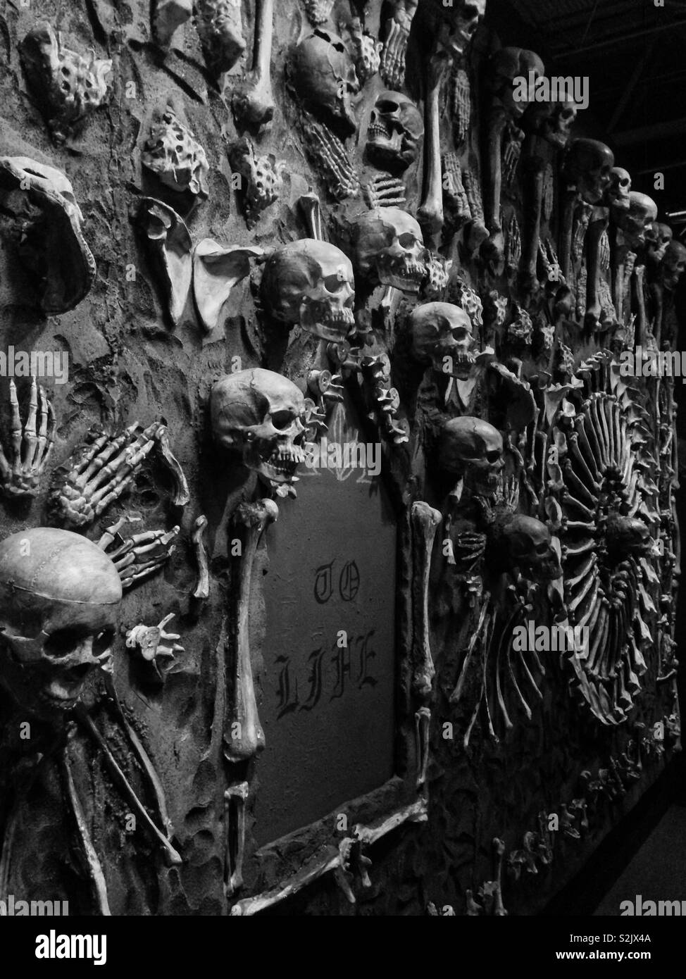 Wall of the skulls hi-res stock photography and images - Alamy