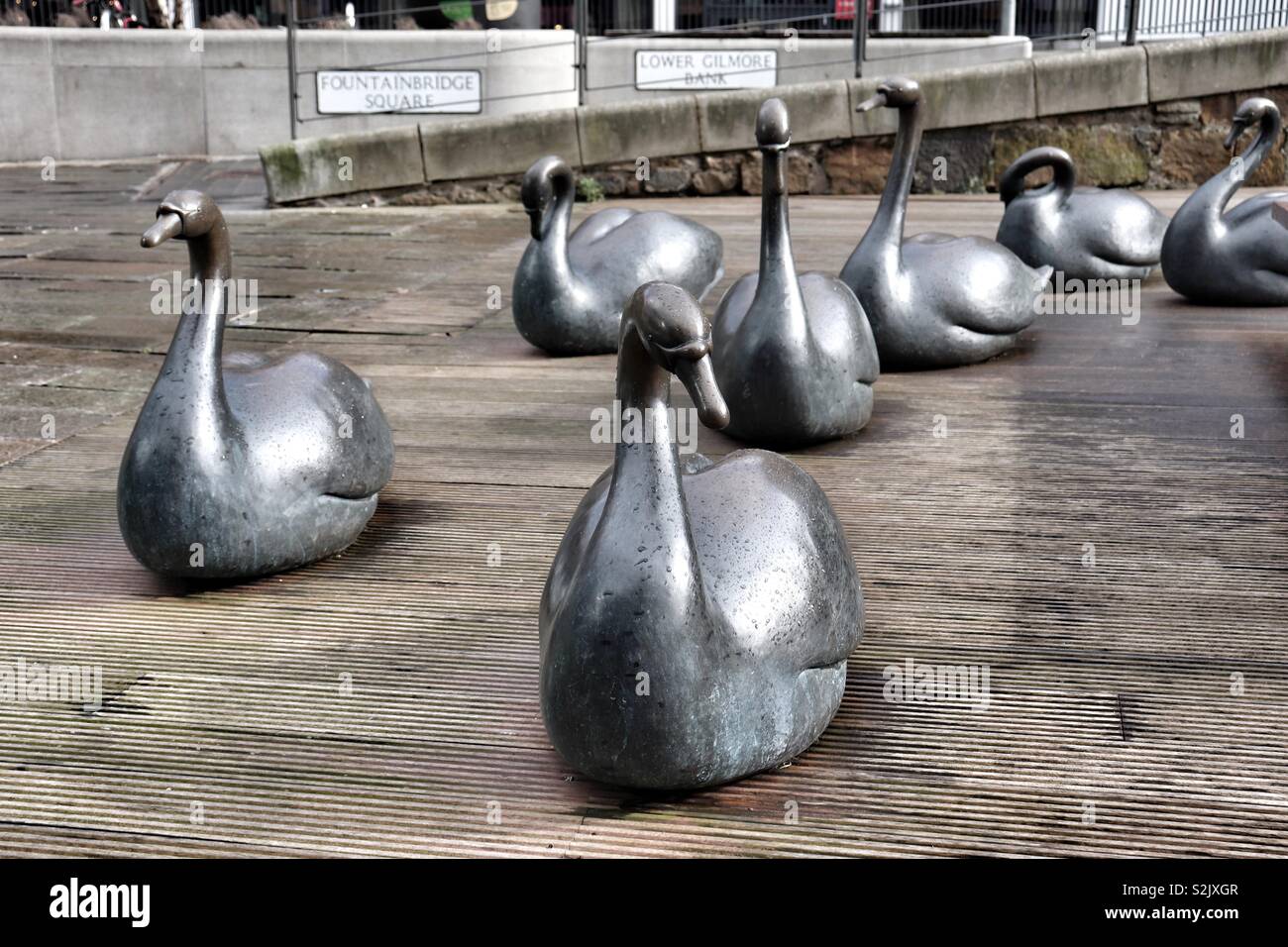 Bird sculptures in Fountainbridge Edinburgh Stock Photo - Alamy