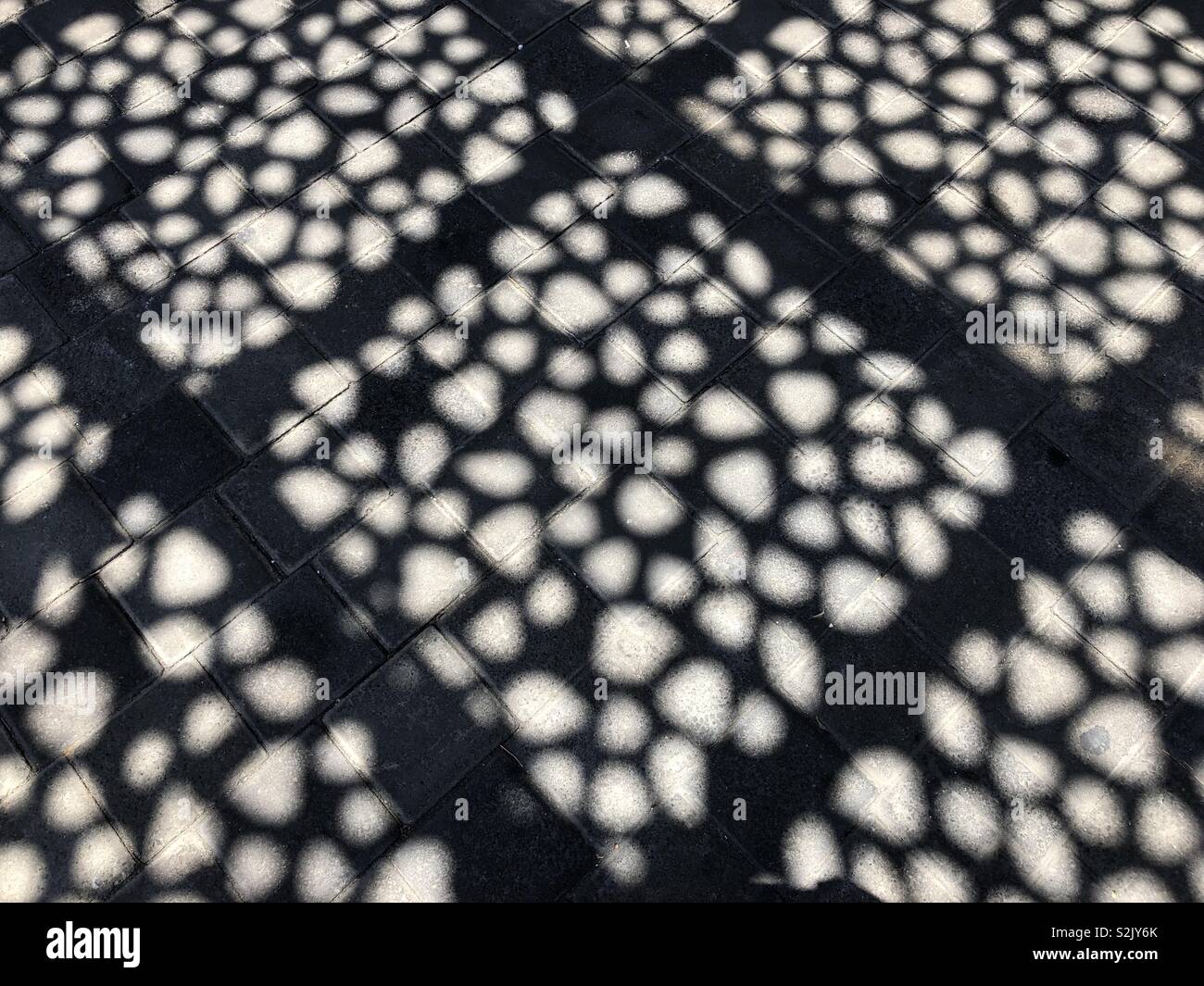 Patterns Formed By Shadows High Resolution Stock Photography and Images ...