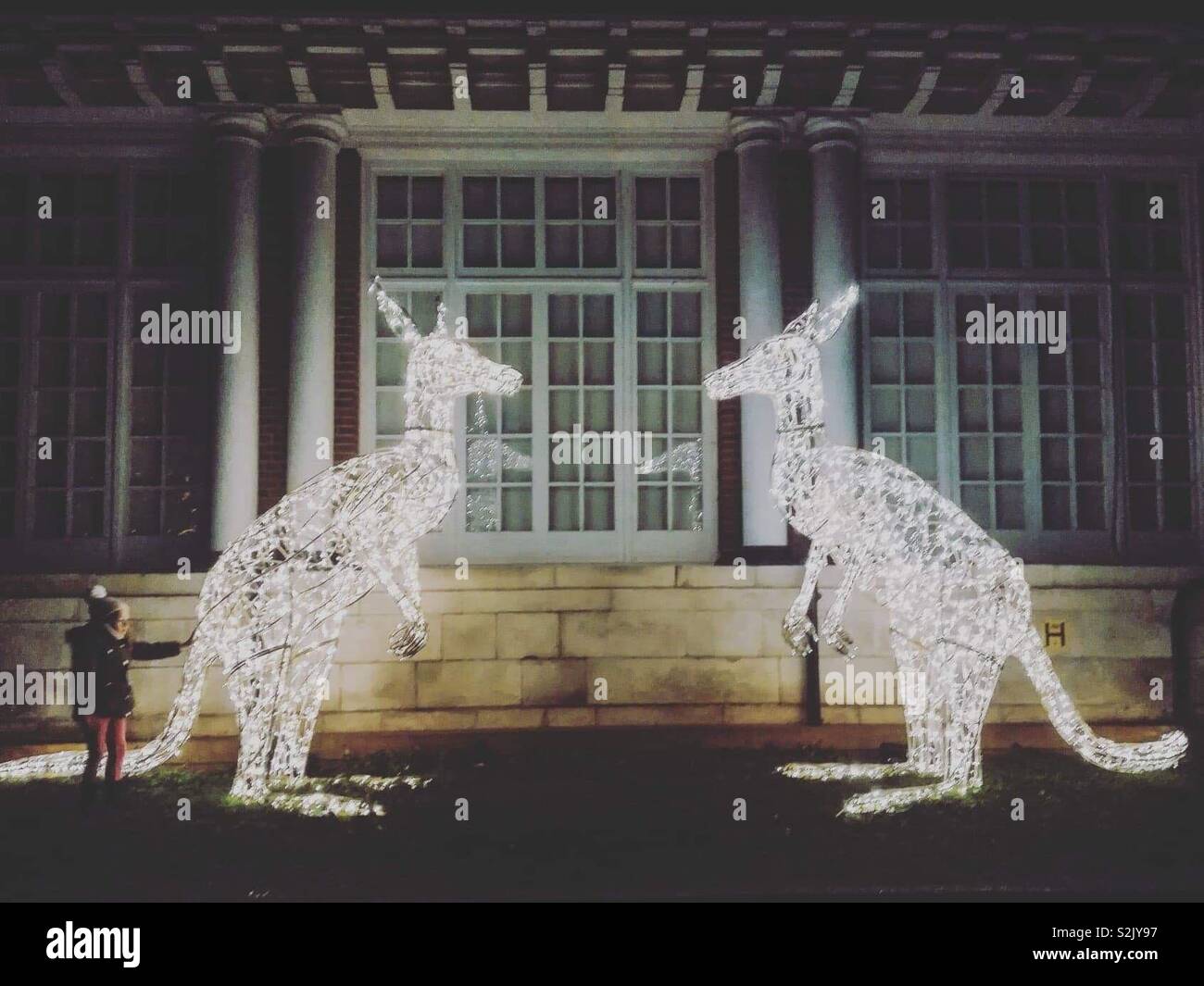 Kangaroo light statues Stock Photo - Alamy