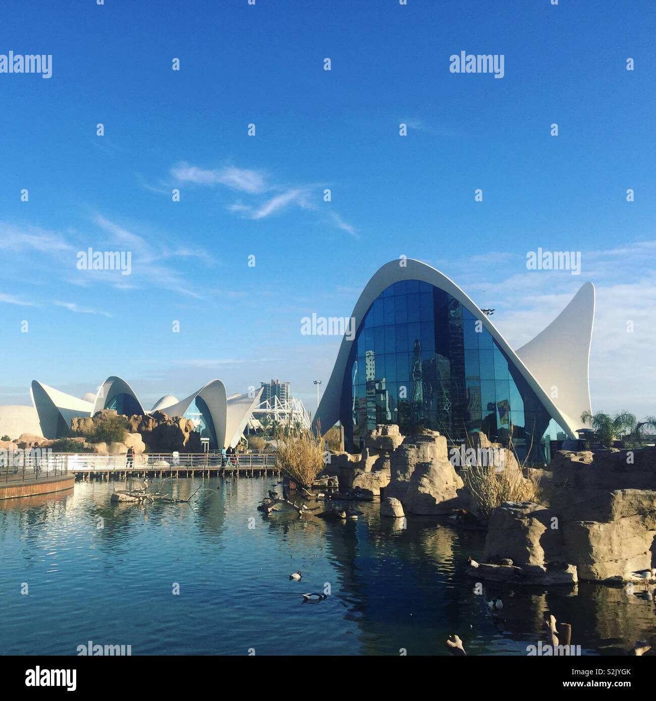 Valencia Aquarium High Resolution Stock Photography and Images - Alamy
