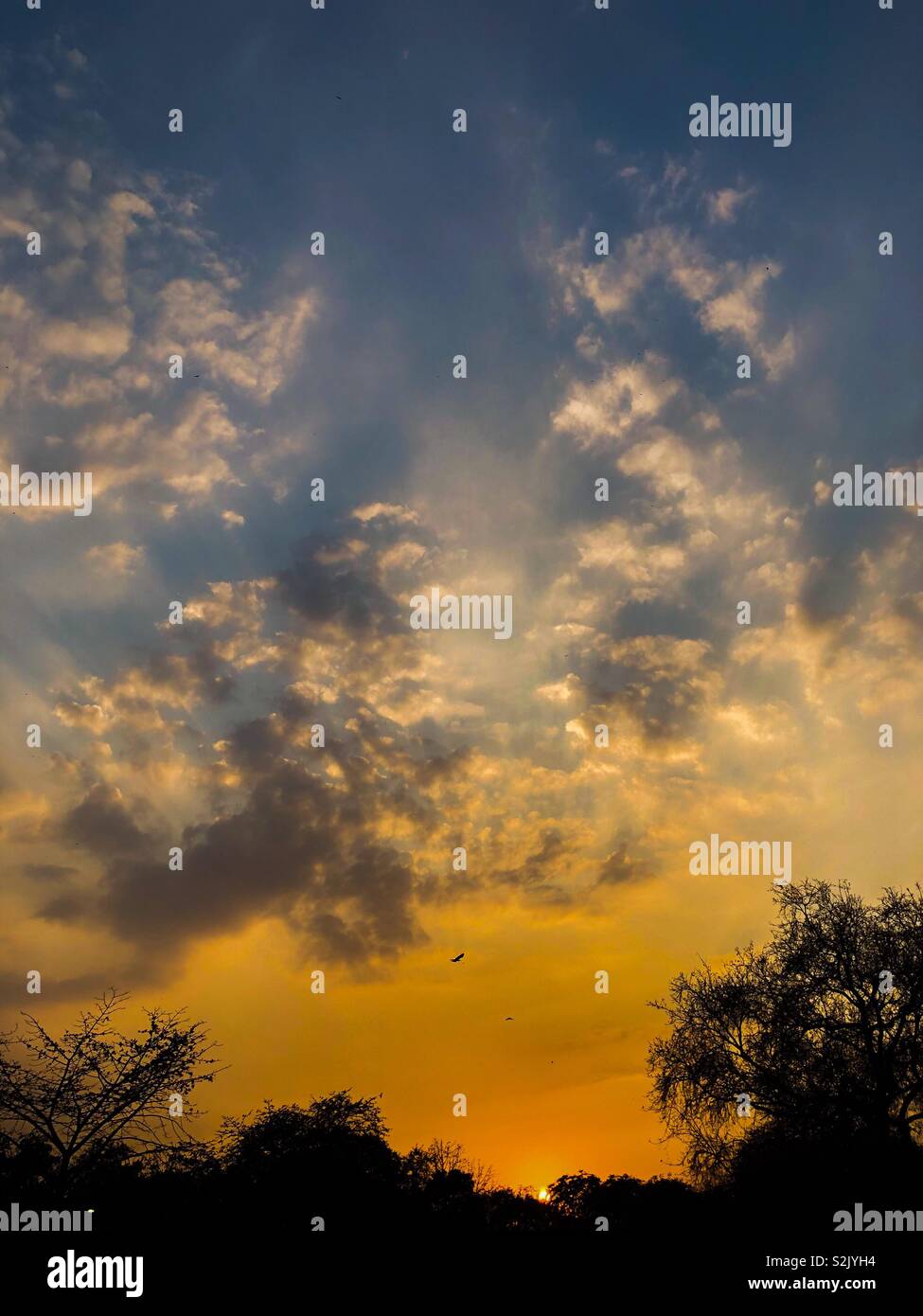 Dramatic cloudy sky background, sunset landscape Stock Photo - Alamy
