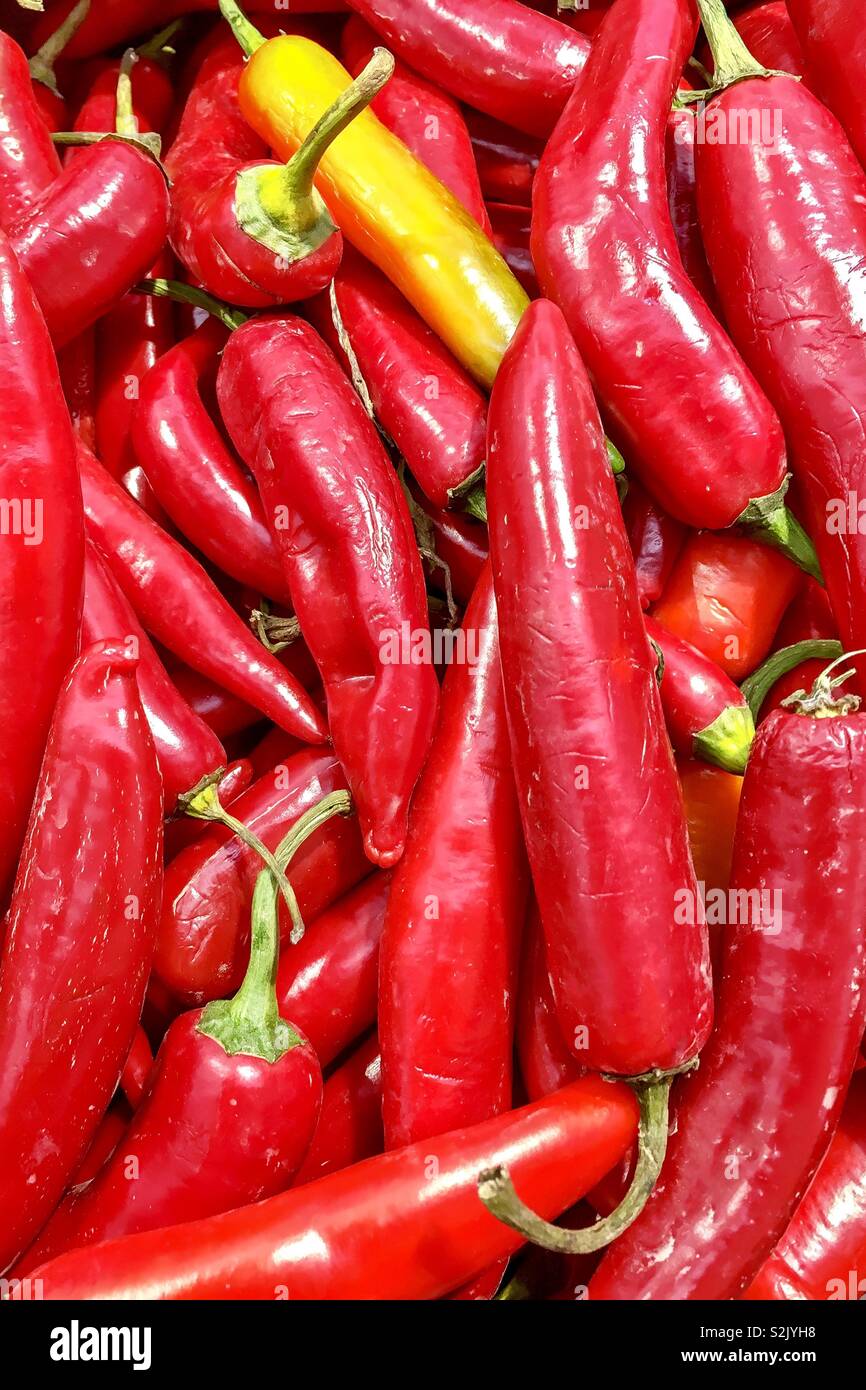 Hot pepper pepperoni natural pattern. Italian Food Stock Photo - Alamy